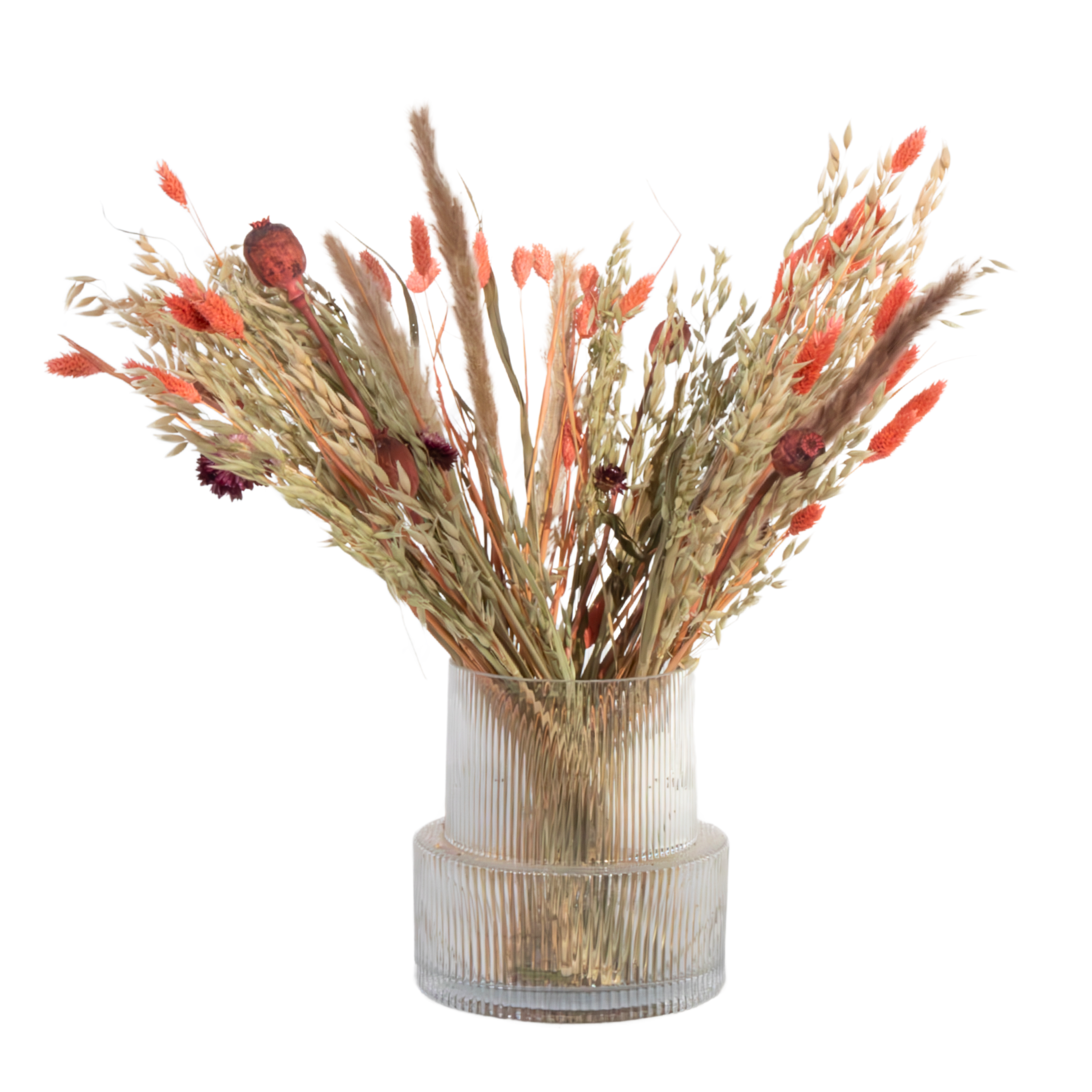 Dried flowers - Bouquet 'Large Zoey' - Dryflowers – Plant in a Box UK