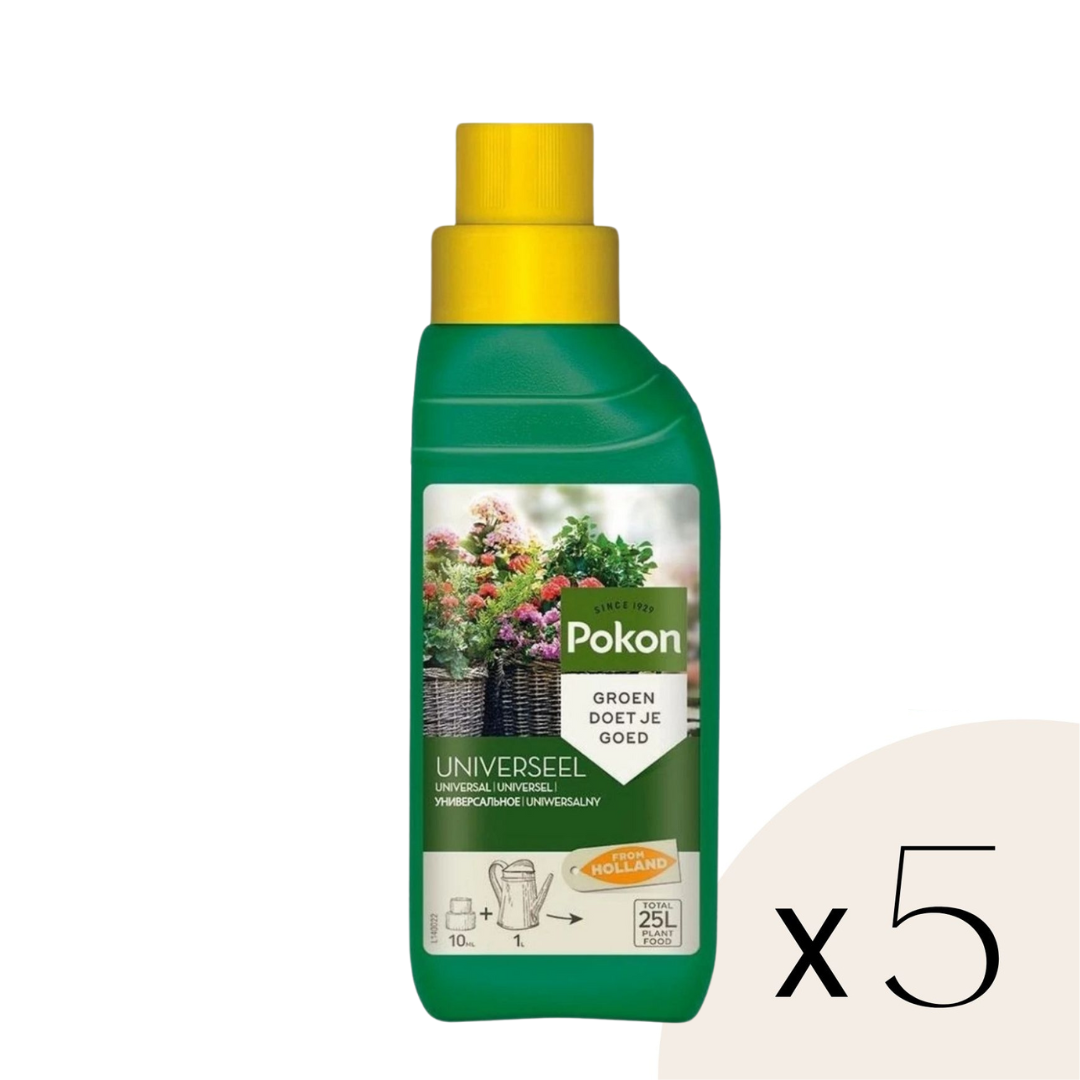 Pokon Universal liquid plant food - 2.5 liters – Plant in a Box UK